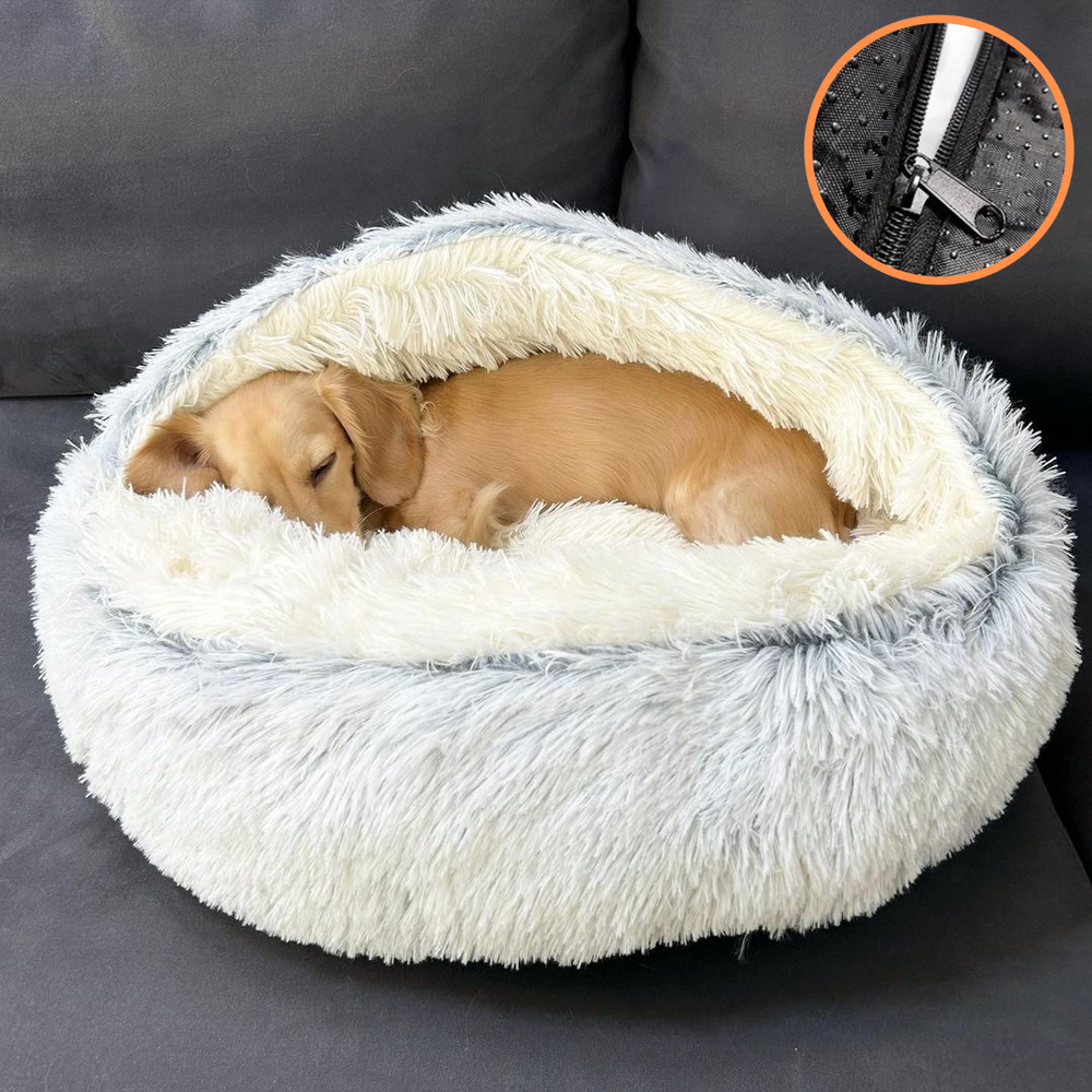 PETTI 落ち着きのあるベッド - 快適で安らぎの寝床