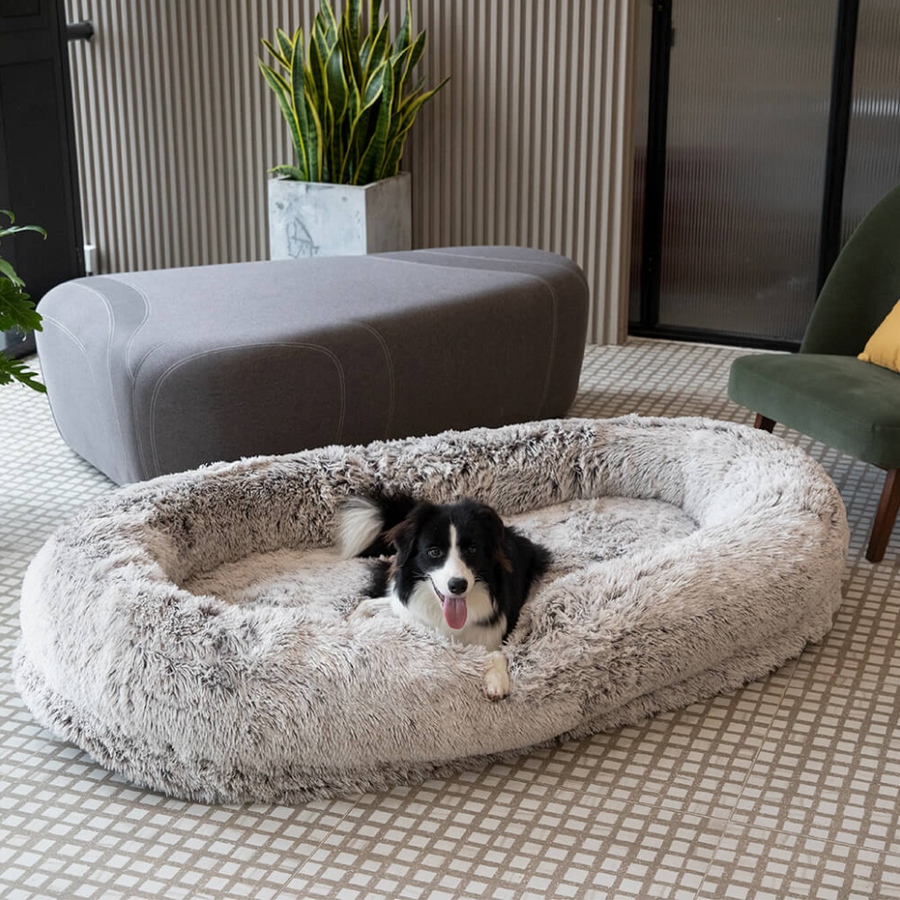 PETTI 人間 用 ドッグ ベッド